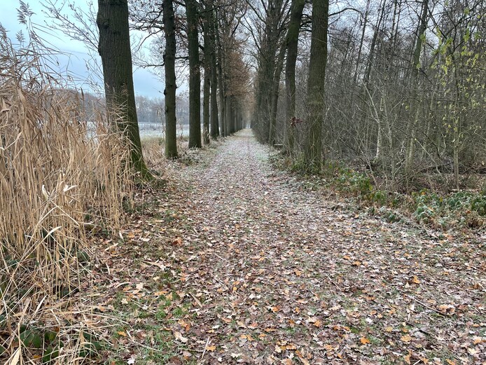Nieuwjaarswandeling op de Brabantse Landerijen | Land van Cuijk ...