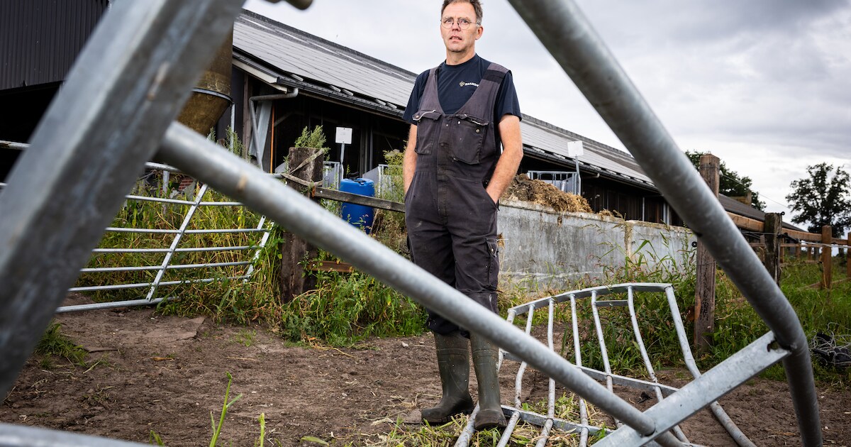 Als Helmut (53) rustig zit te lunchen met zijn vrouw, raken zijn dieren ...