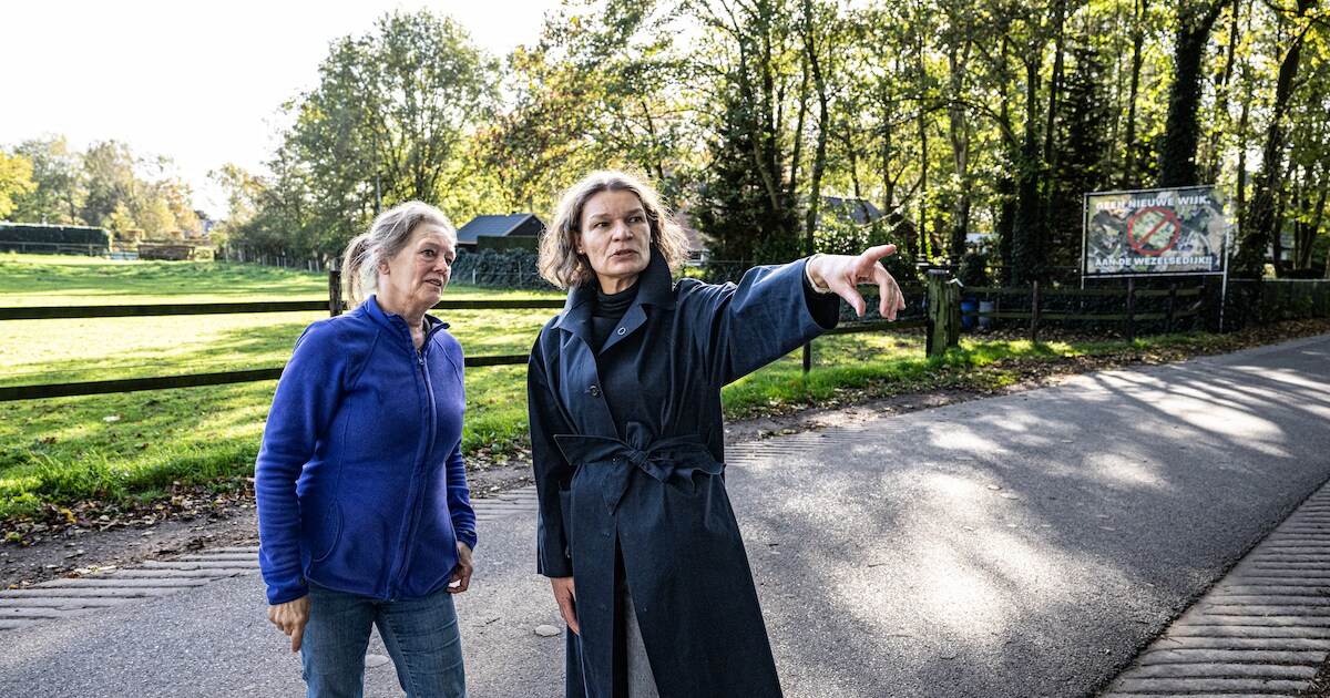 Doorbraak in Wezel: bewoner buurtschap neemt weiland over van eigenaar ...