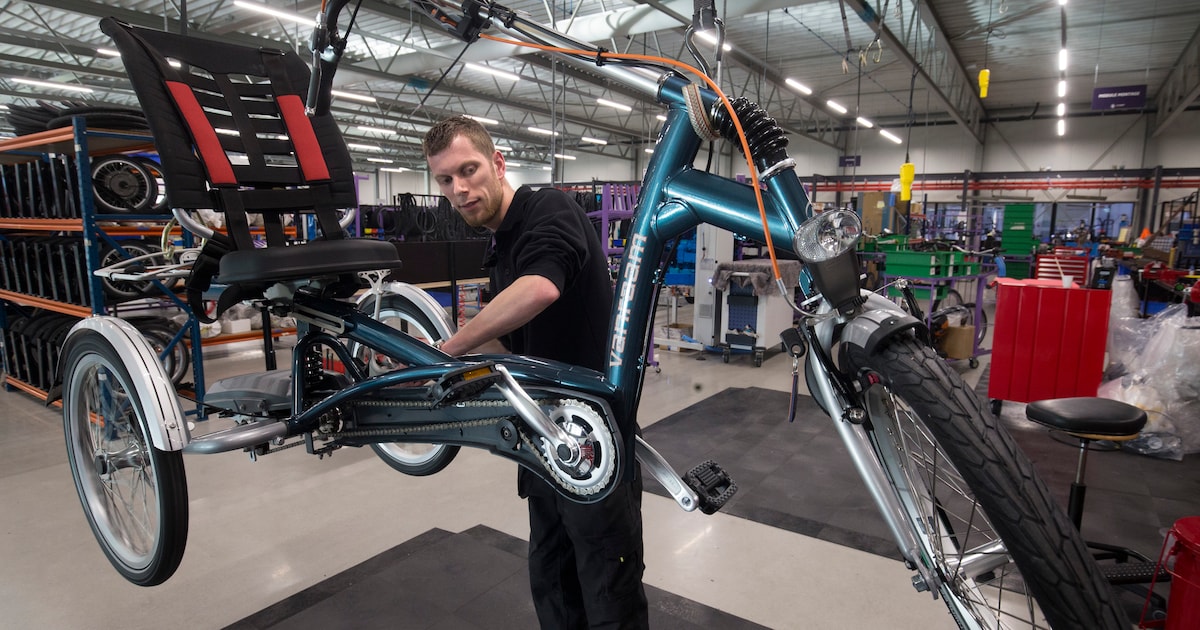 Varsseveldse fietsenfabrikant Van Raam breidt uit naar Polen | Regio ...