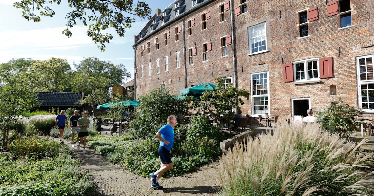 Hanze City Trail Doesburg: dwars door Albert Heijn, Etos, stadhuis en ...