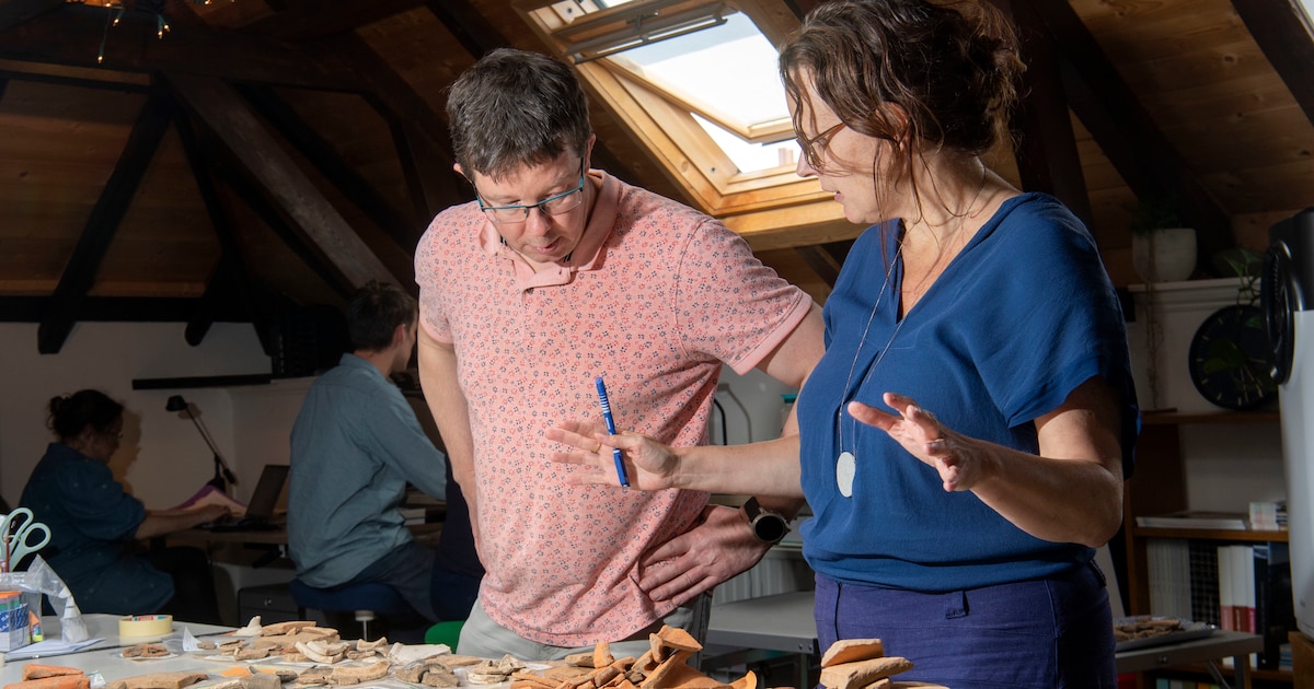 Vondst Romeins tempelcomplex bij Herwen gaat archeologisch onderzoek ...