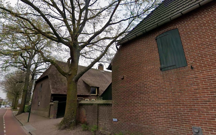 Bernheze moet kiezen tussen monumentale boom of monumentale muur: boom ...