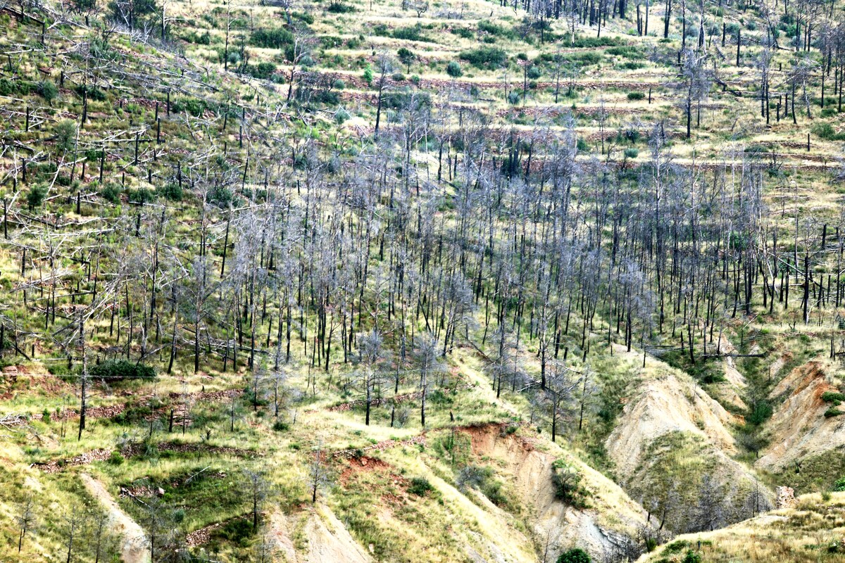 WUR moet de klimaatuniversiteit van de wereld worden | Wageningen | De ...