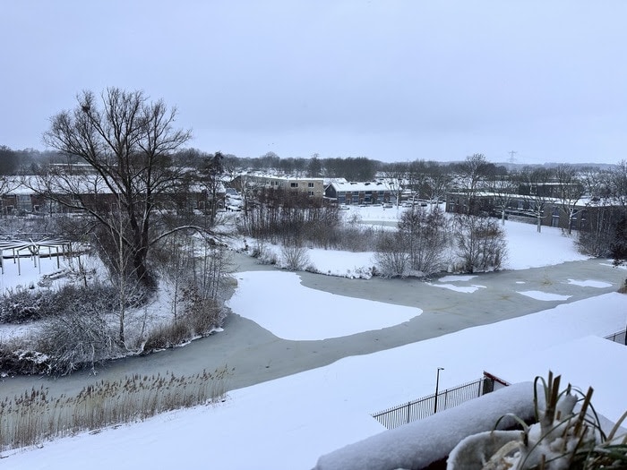Winterwonderland! Dit zijn de leukste sneeuwplaatjes uit de regio ...