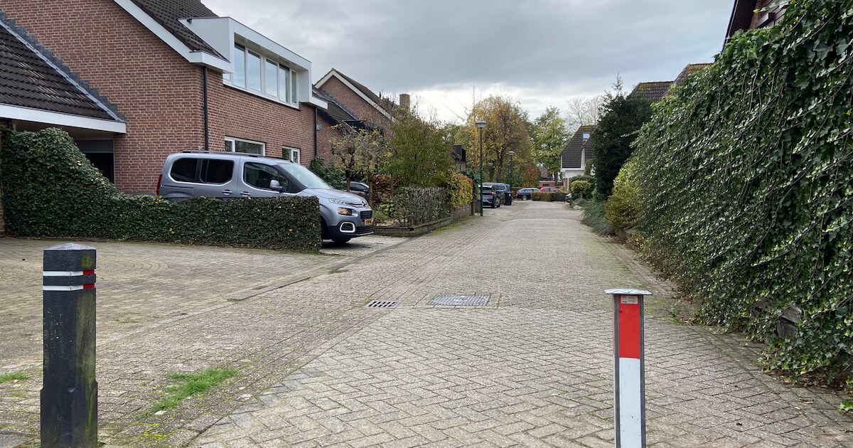 Rhenen gaat onnodige fietspaaltjes verwijderen: ‘Ze moeten natuurlijk ...