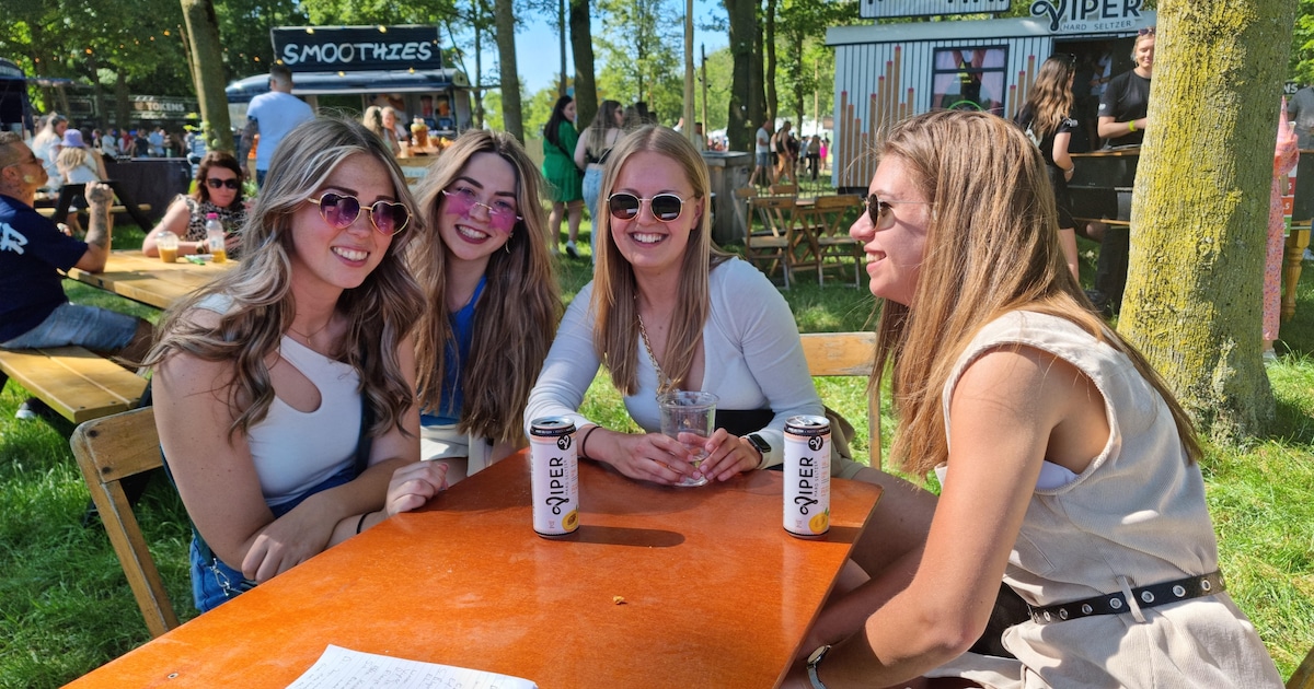 Festivals duur? Voor bezoekers lijken prijzen er niet toe te doen ...