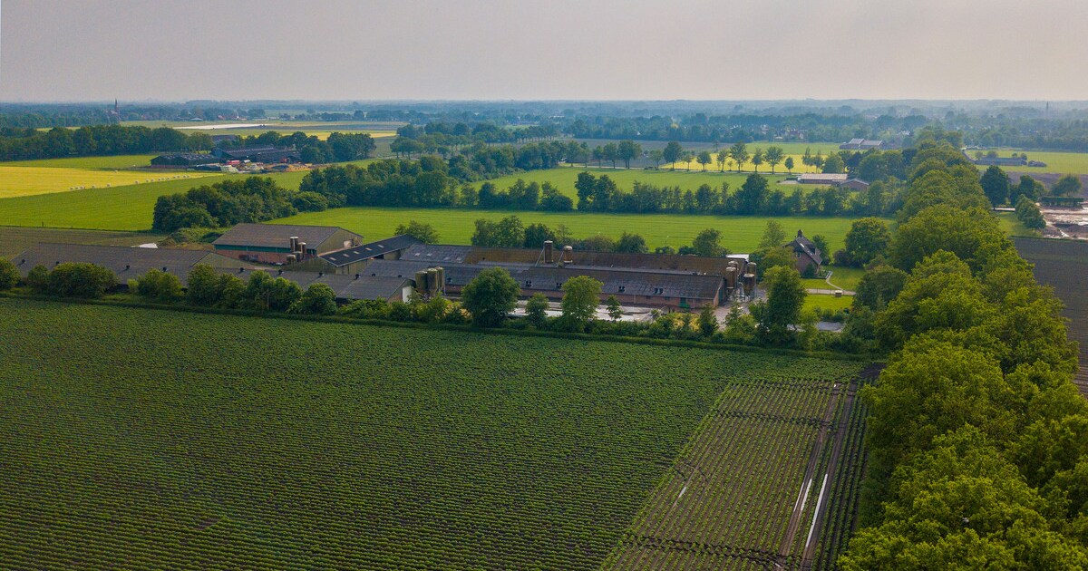 Uitbreiding boerenbedrijven blijft heet hangijzer in Gemert-Bakel ...