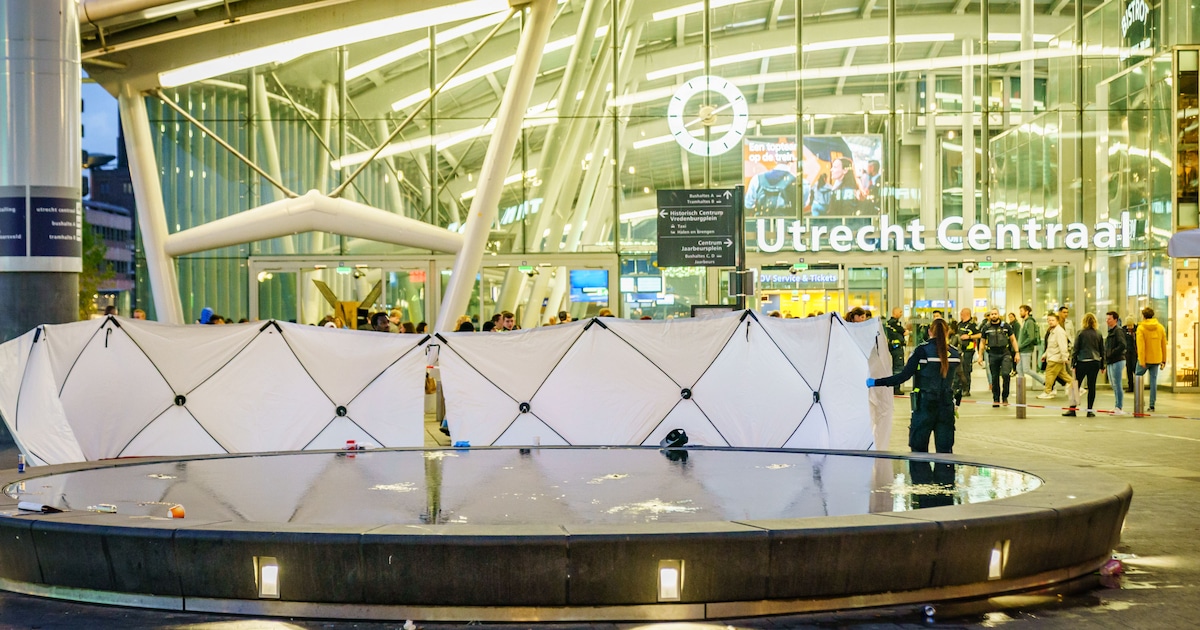 Weer een steekpartij rond Utrecht CS: man (57) gewond aan been, dader ...