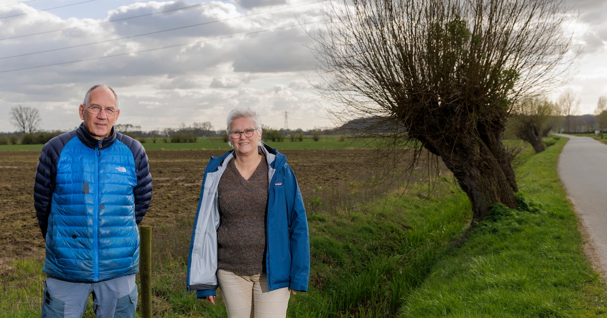 Windmolens van 200 meter aan rand Wageningen: dit zijn de plannen en zo ...