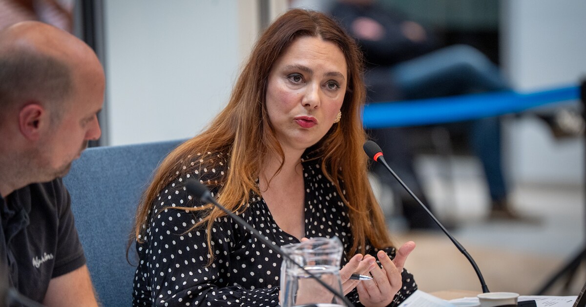 Boukje Raes (ex-CDA) gaat verder bij Lokaal Belang Lingewaard: ‘Alle ...