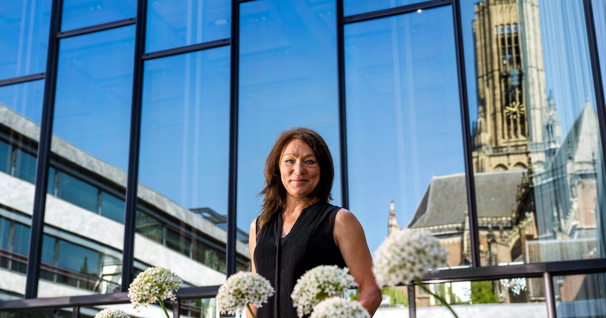 Wie wint het Arnhems Compliment? Zes bedrijven zijn in de race | Arnhem ...