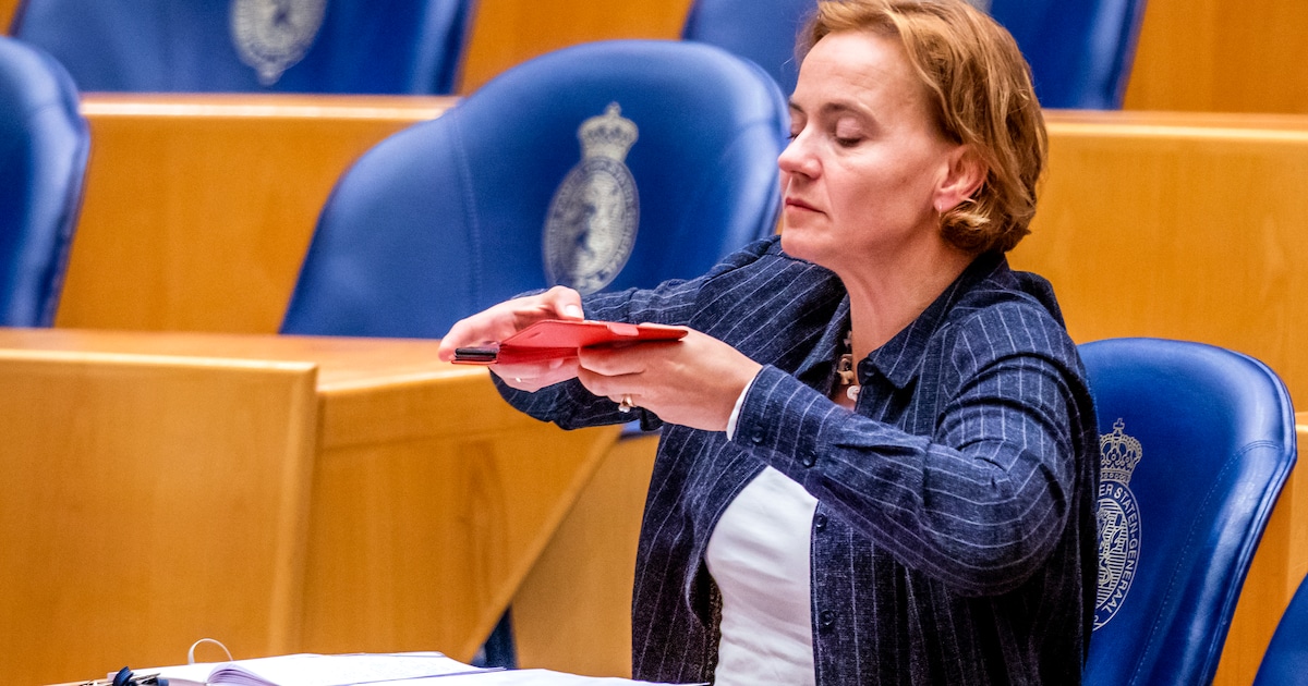 Groot Dictee heeft twee winnaars: beide prominenten maken slechts twee ...