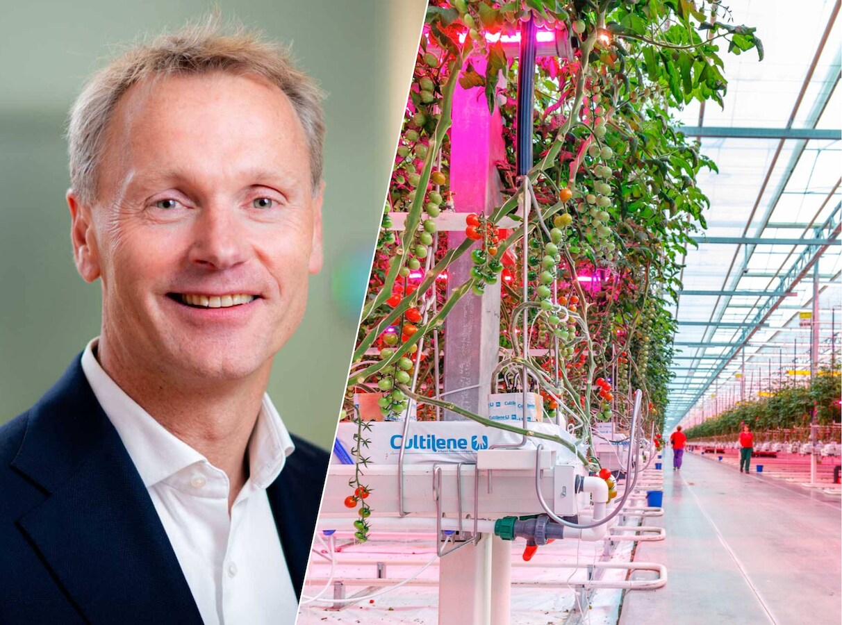 Nieuwe baas bij Signify wil strategie totaal herzien: ‘We moeten beter ...