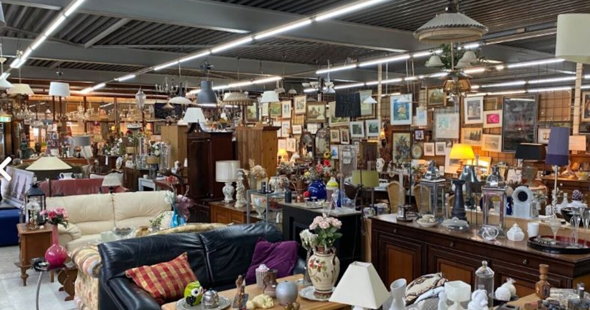 Vrouw steelt beelden en opgezette vos uit kringloop, eigenaar Marcel is ...