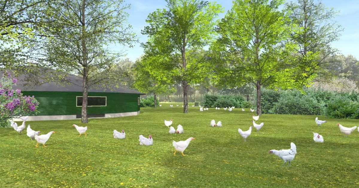 Groen licht van Raad van State voor bouw biologische megacomplex voor ...