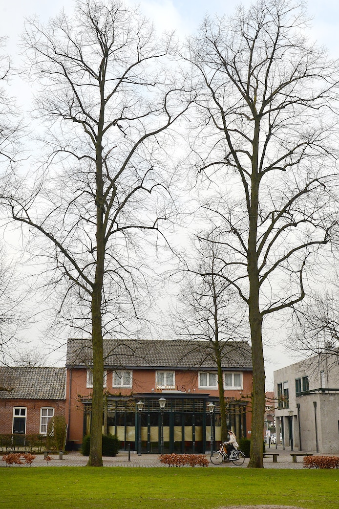 Sint Anthonis wil meer leven op de Brink | St. Anthonis | gelderlander.nl