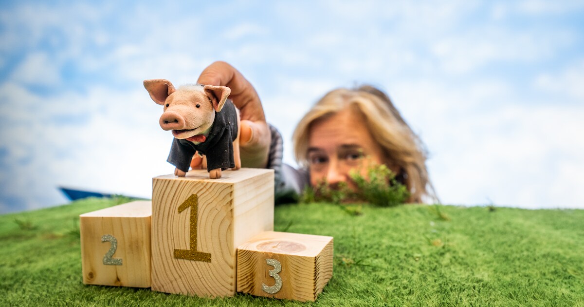 Nieuwe film Mascha Halberstad naar 50 landen; voorpremière ‘Vos en Haas ...