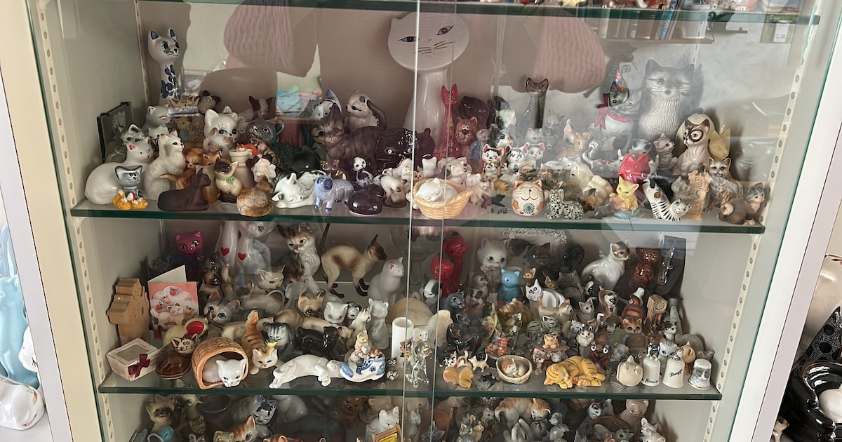 Paula heeft een kast vol kattenbeeldjes, babycommode in Heeze ...