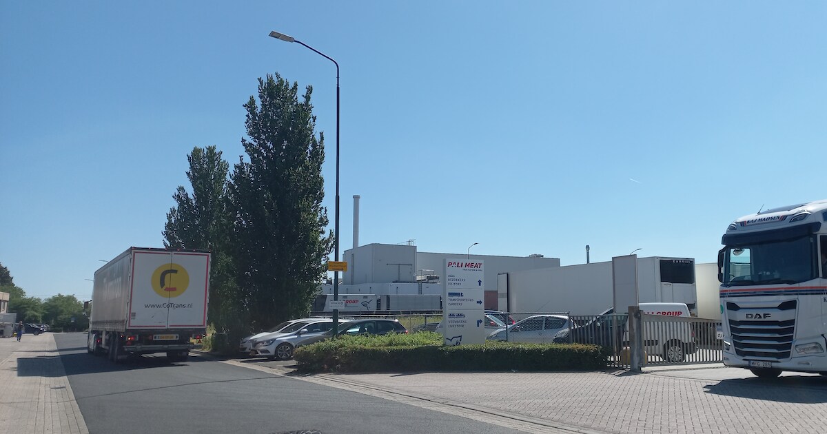 Geldrops slachthuis sluit per 1 april vanwege gebrek aan ...