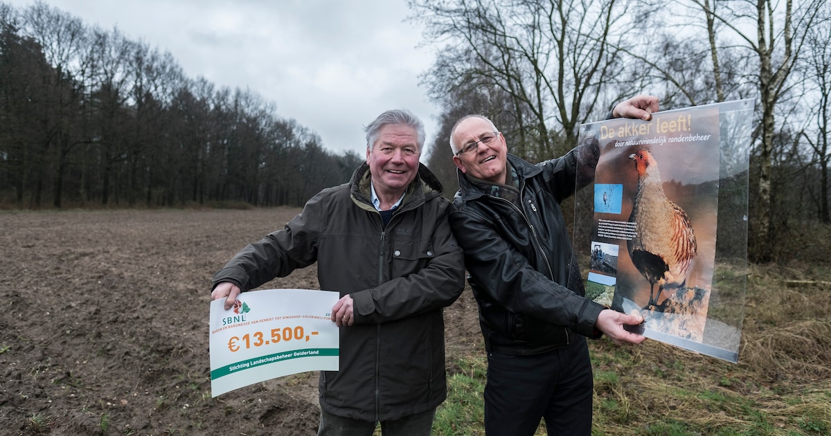Een paradijs voor de patrijs in Montferland | Achterhoek | De ...