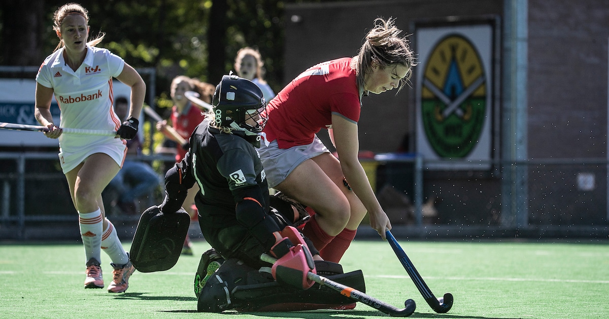 Streep door nieuwe huizen Hengelder, sportpark krijgt grondige ...