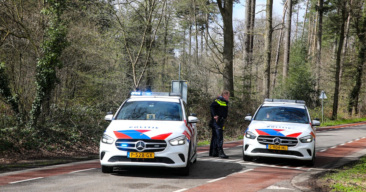 Kees treft toegetakelde vrouw aan: ‘Ze legde haar bebloede hoofd op ...