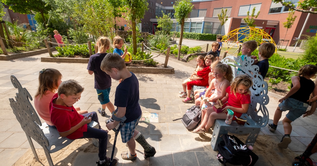 Achttien basisscholen in Heumen en Berg en Dal straks onder één koepel ...