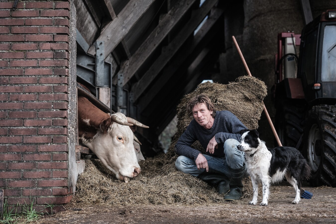 Kaas met kalverliefde door de brievenbus: ‘cheese-funding’ of met ...