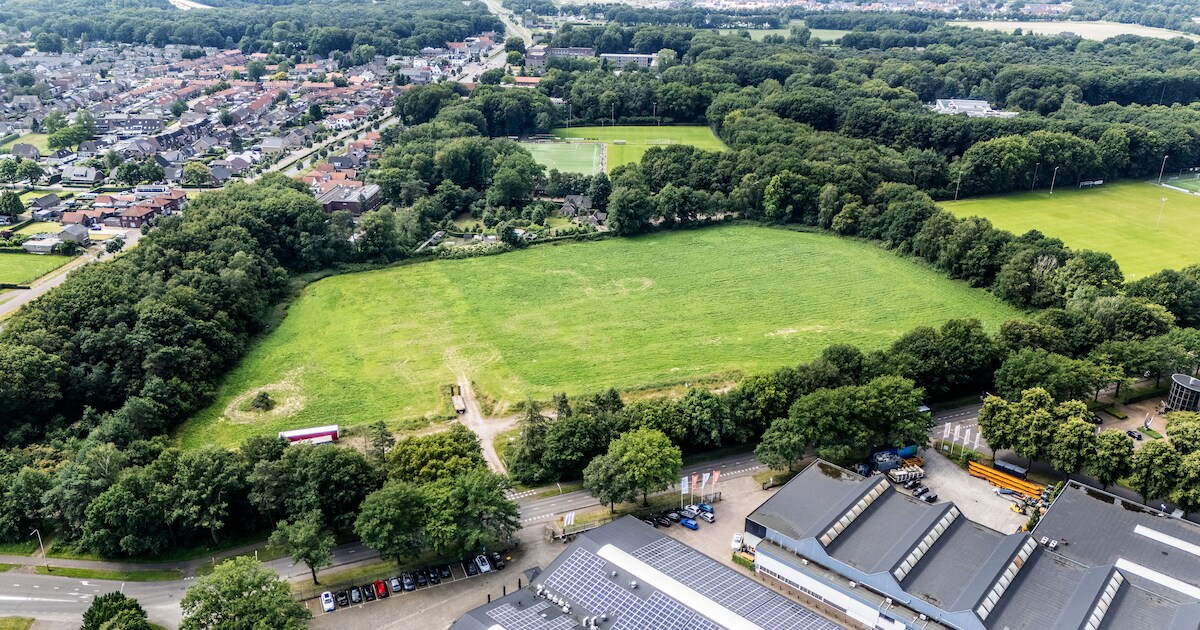 Nieuwe kopzorgen rond dassen in Wijchen: ook onderzoek op Floorterrein ...