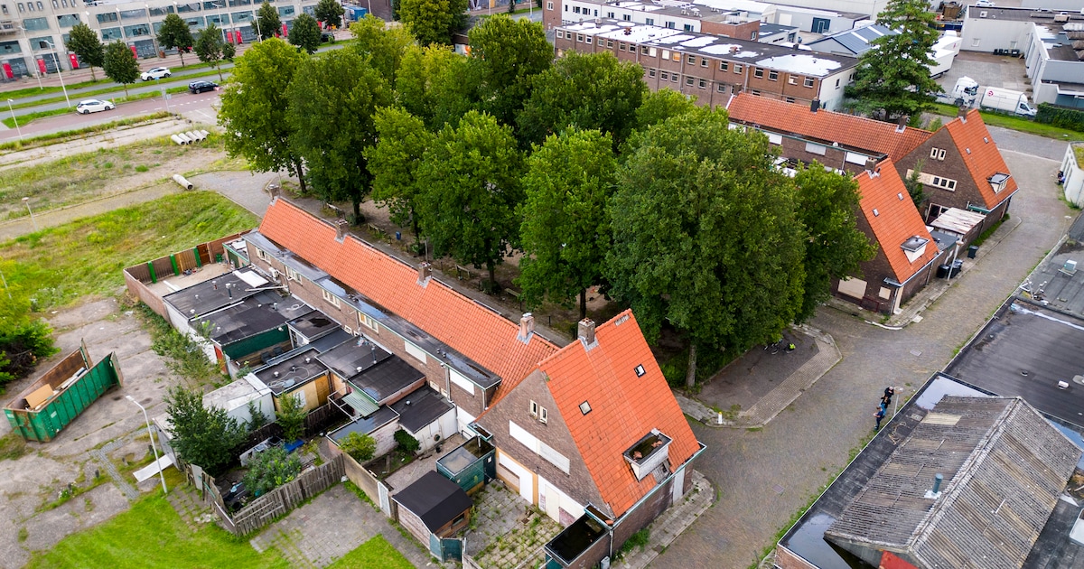 Kankeronderzoek Rijnwijk richt zich op vervuiling, roken en drinken ...