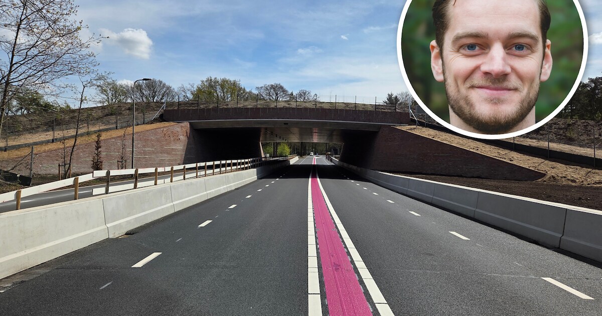Nieuw ecoduct: van vlinder en ree tot das veilig de N226 over | Regio ...