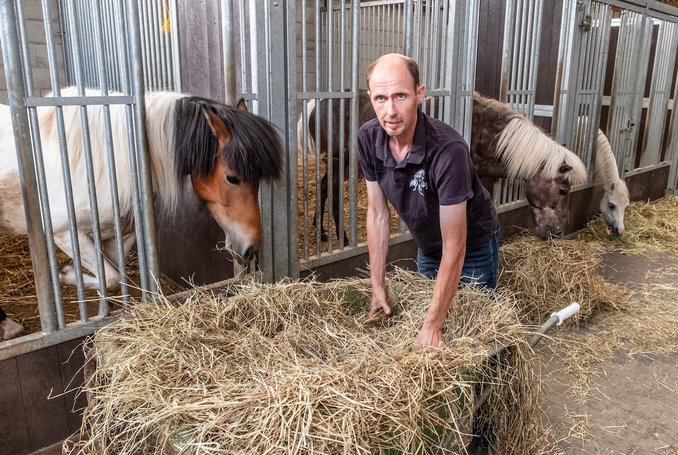 Fokkers zijn achteraf soms blij om verbod op nertsen: 'Anders waren we ...
