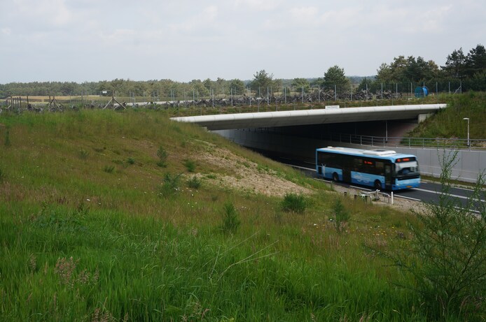 Protest bij ecoduct waar door ‘gevaarlijk hek’ geen wild overheen komt ...