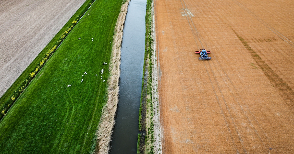 Voor het eerst in beeld: 42.000 hectare grond kleurt geel door gebruik ...