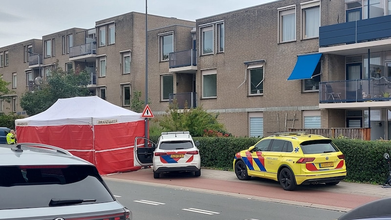 90-jarige Bossche vrouw overleden bij aanrijding met busje in Den Bosch | Den Bosch | De ...