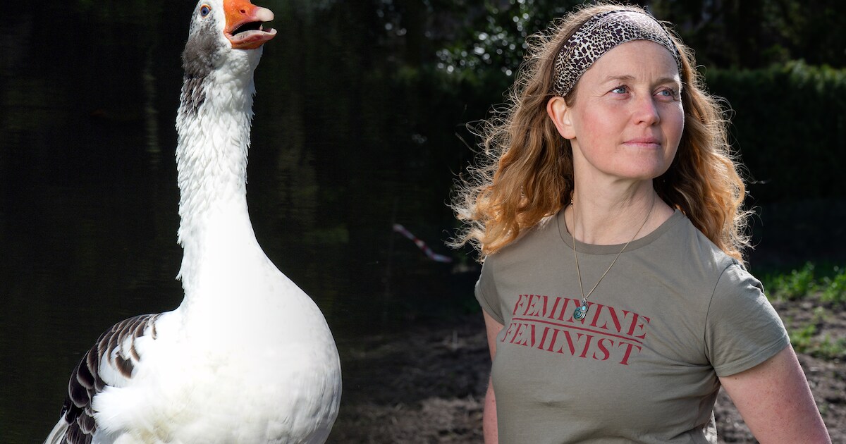 Foie gras is een sjieke naam voor een lever die door een zeer ...