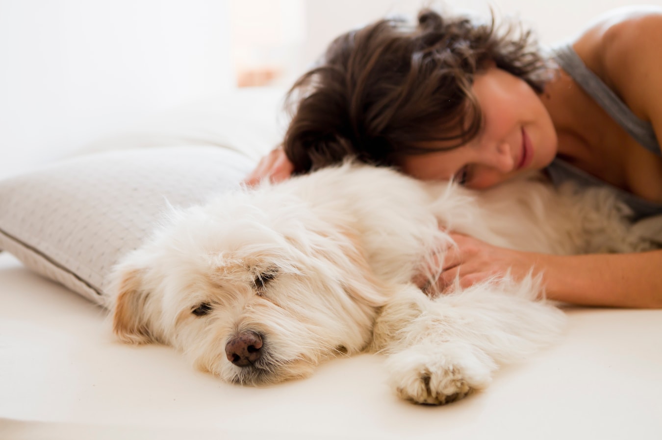 Dierendag! 1 op de 5 huishoudens in Neder-Betuwe heeft een hond | Foto ...