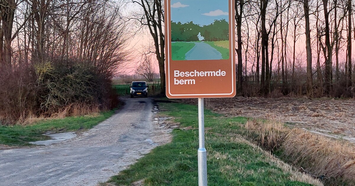 Wat doe je tegen al die rotzooi in de berm? Waalwijk kiest voor ...