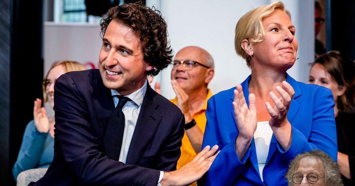 Ik zat te bestuderen hoe je lijsttrekker wordt van de linkse combinatie ...