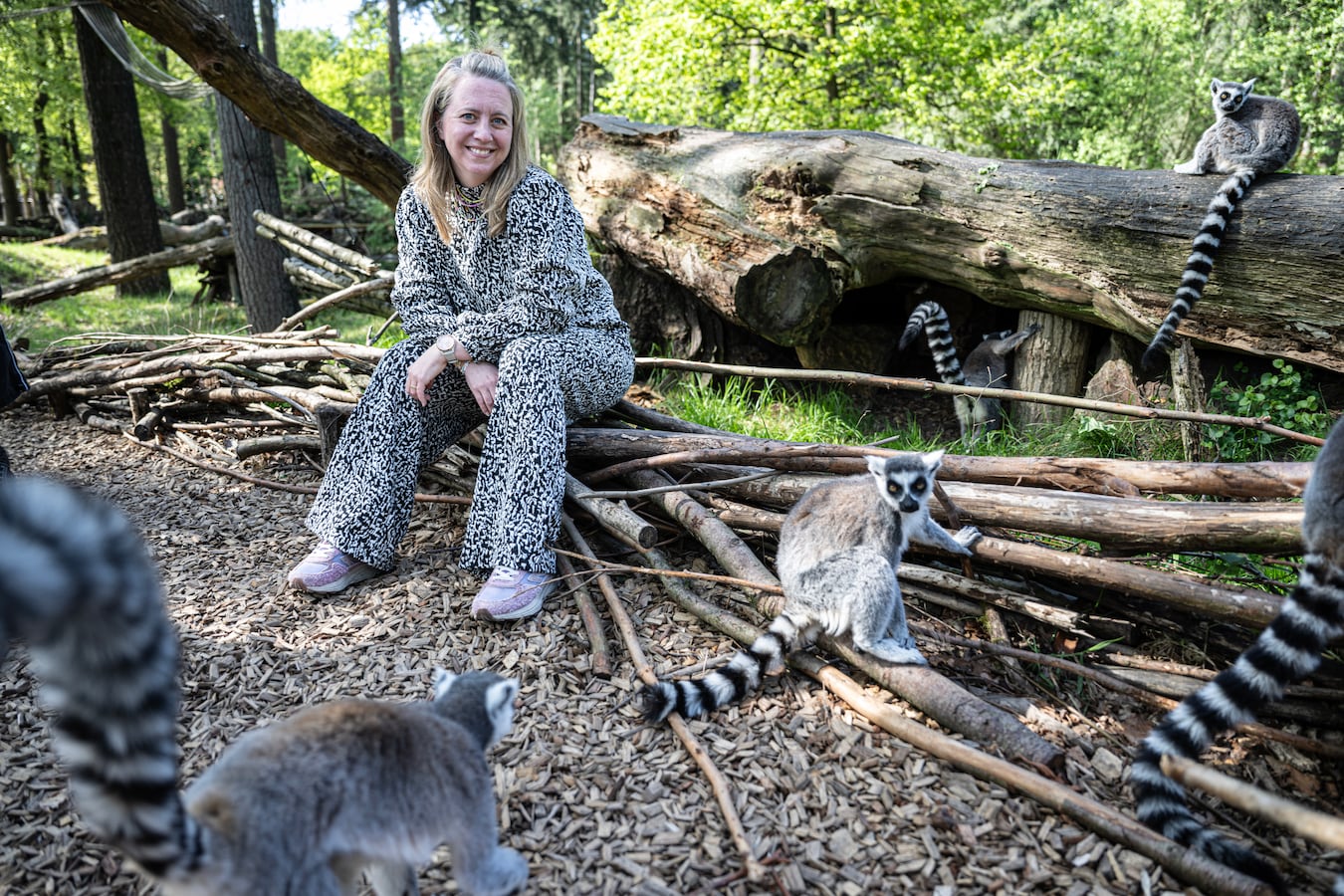 Verdwijnen straks de ijsberen, tijgers en dolfijnen? ‘De dierentuin is ...