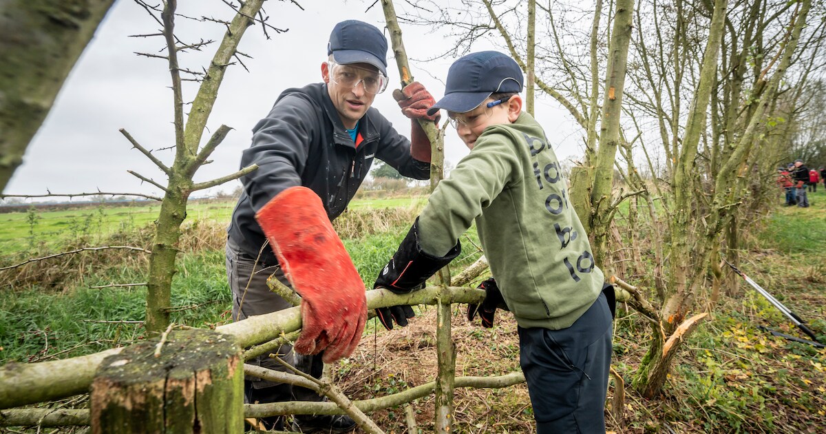 Floris (11) eert zijn pas overleden opa, een bekend heggenvlechter. En ...