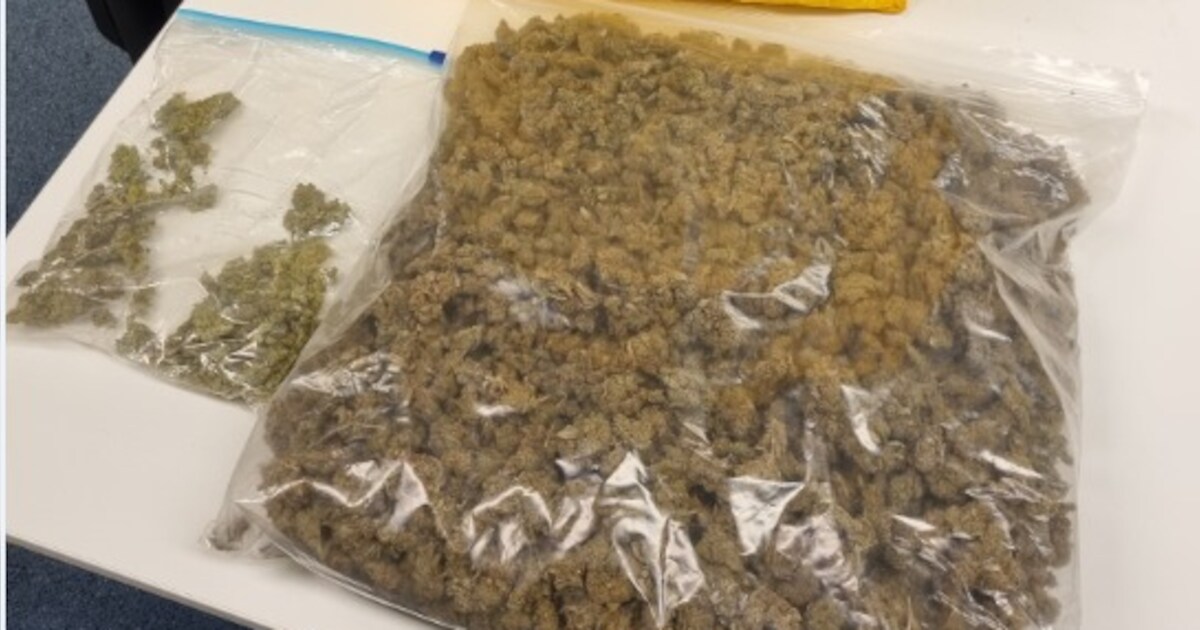 Verkeerscontrole leidt tot drugsvondst in De Bilt: twee personen ...