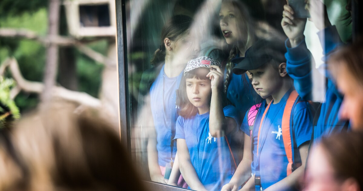 Poolse kinderen vieren vakantie in Liemers: ‘Ik heb er vrij voor ...