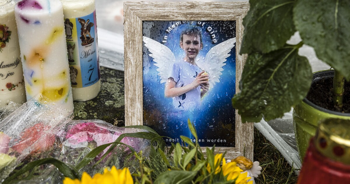 Advocaat: Donny M. gaat uitgebreid verklaren over wat er gebeurde met 9-jarige Gino | Binnenland ...