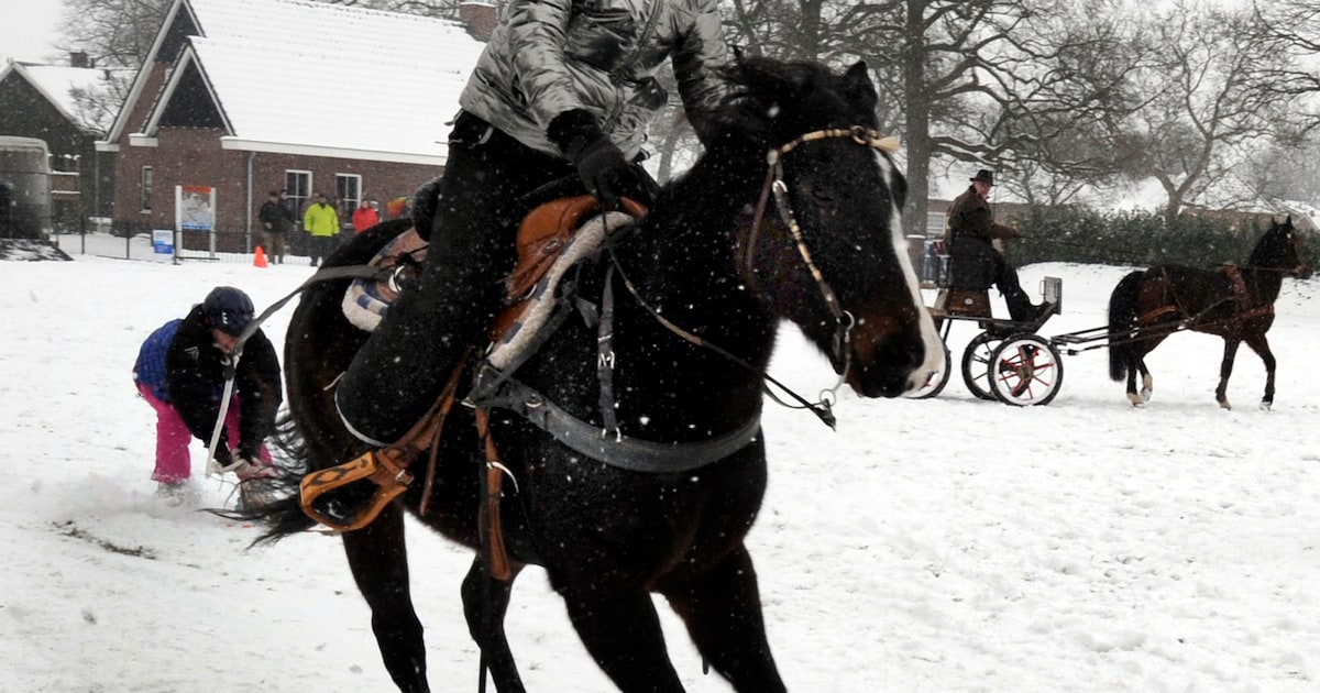 Dorpsbewoners hopen vandaag op extra sneeuw, want galopskiën in Markelo ...