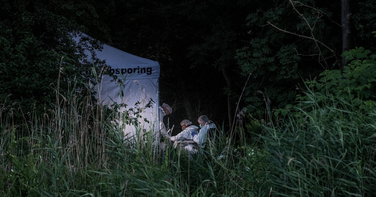 Dode persoon in berm Nijmegen: politie zet vandaag het onderzoek voort ...