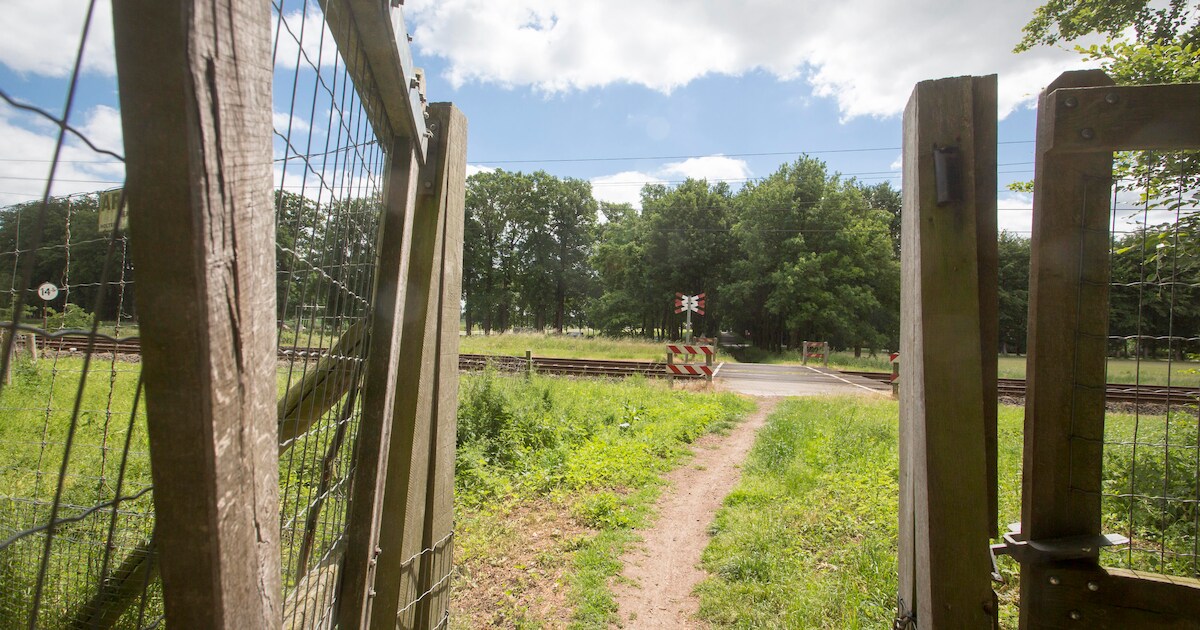 Tunnels, lichten en bellen: Na jaren discussie worden Rhedense ...