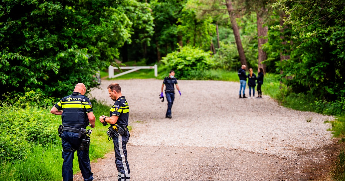 Lichaam gevonden in Arnhem, geen slachtoffer van een misdrijf | Arnhem | De Gelderlander.nl