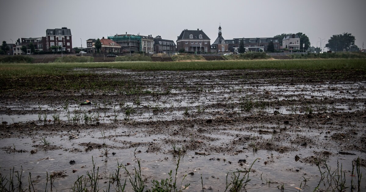 Waalkade met gras is té blubberig en dat is slecht nieuws voor ...